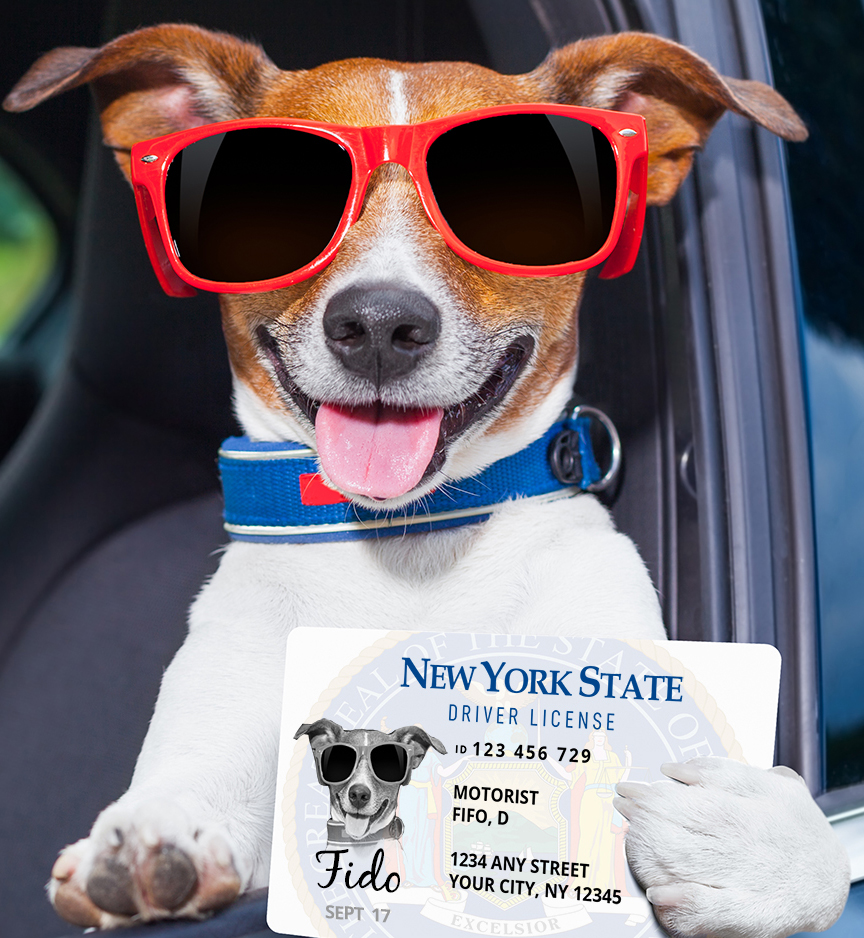 Projects – WSG Consulting, Inc.