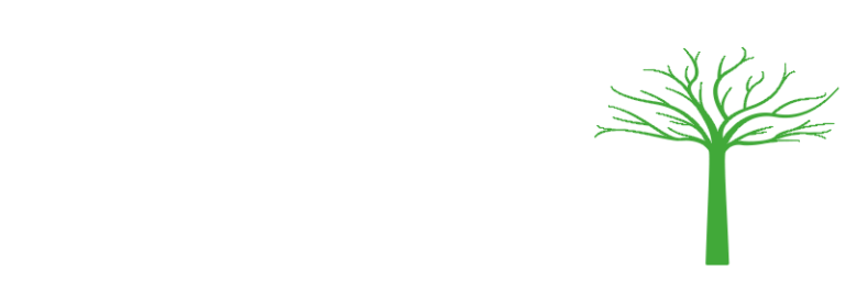 WSG Consulting, Inc. – Web Design & IT Consulting | Saratoga & Albany NY